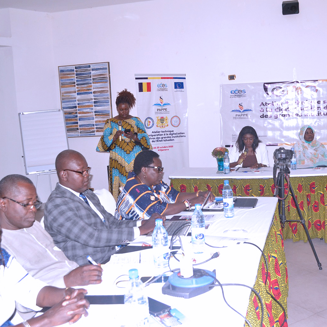 Chadian institutions prepare for the digitalization of their archives | ECES | European Centre ...